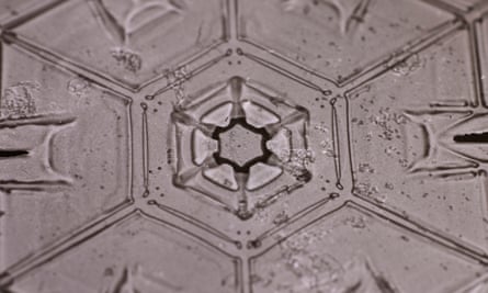 Copo de nieve del siglo XIX Imágenes de copo de nieve de Bentley en ...