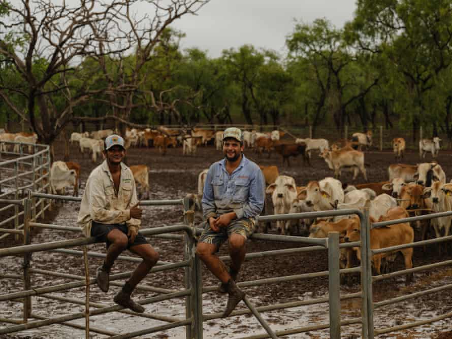 “La buena pelea”: la estación Roebuck Plains y su regreso a la ...