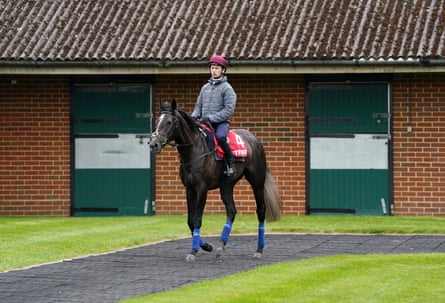 Talking Horses: Dettori actualiza el arresto antes de la despedida del ...